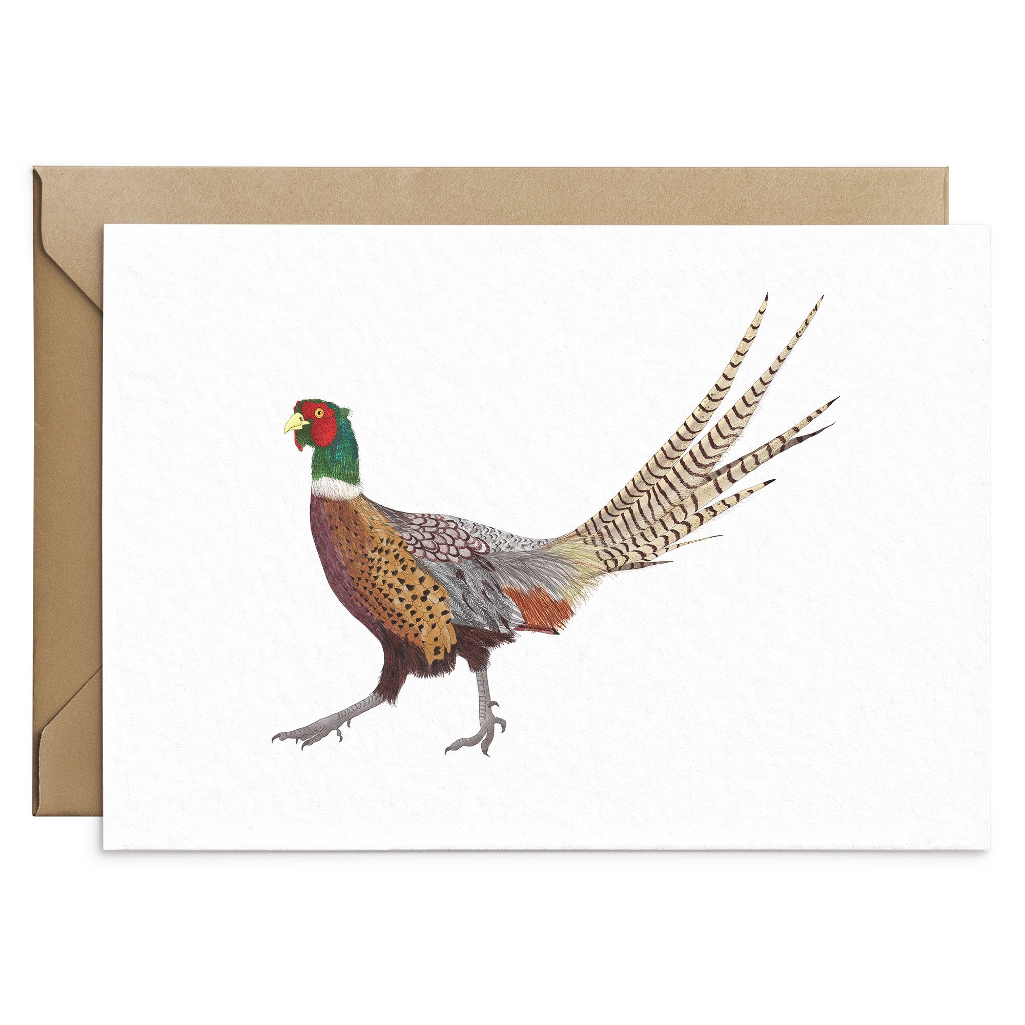 Male Pheasant Card - Birds - Poppins & Co.